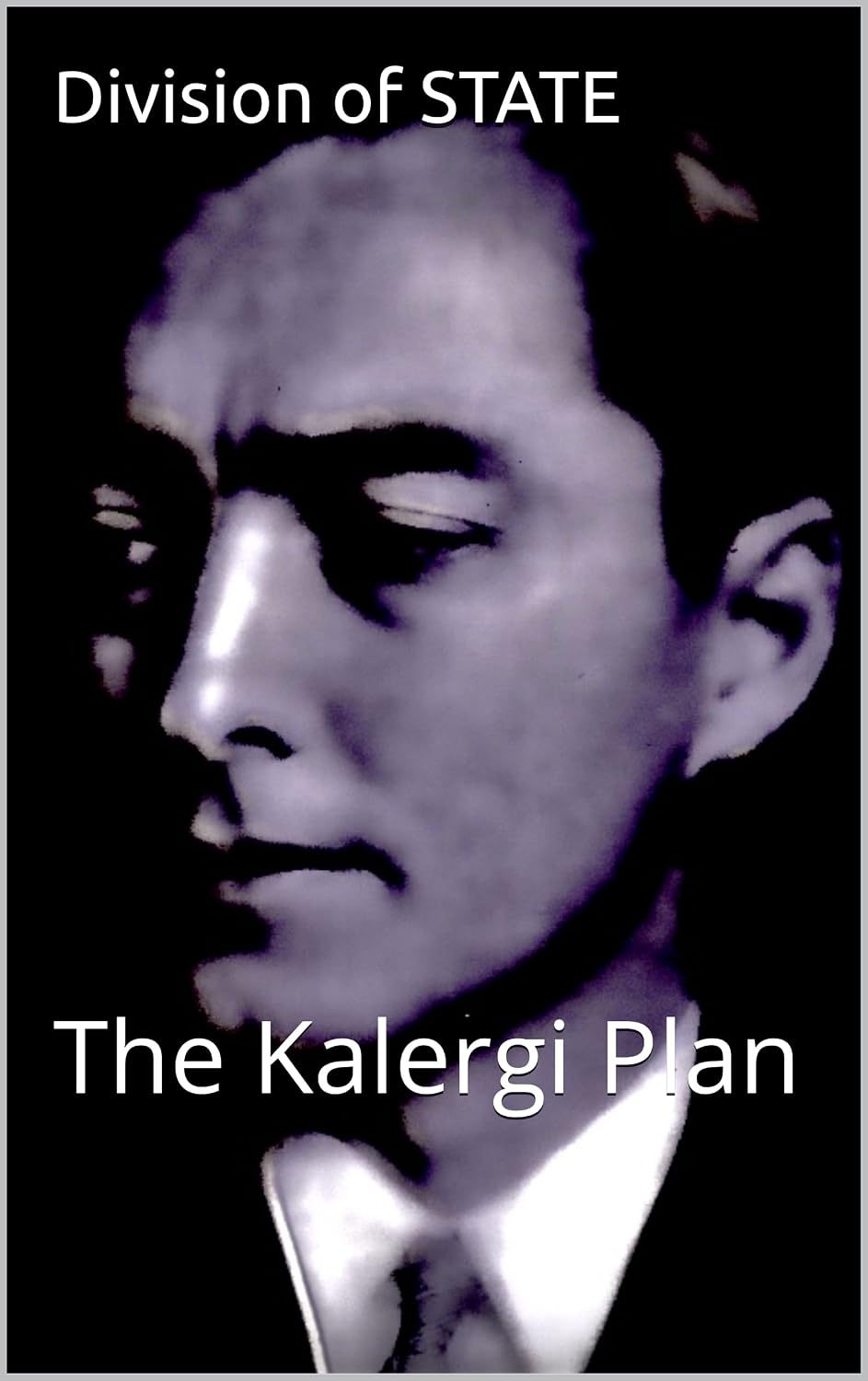 Division of STATE: The Kalergi Plan eBook : Medonis, Thomas : Amazon.in ...