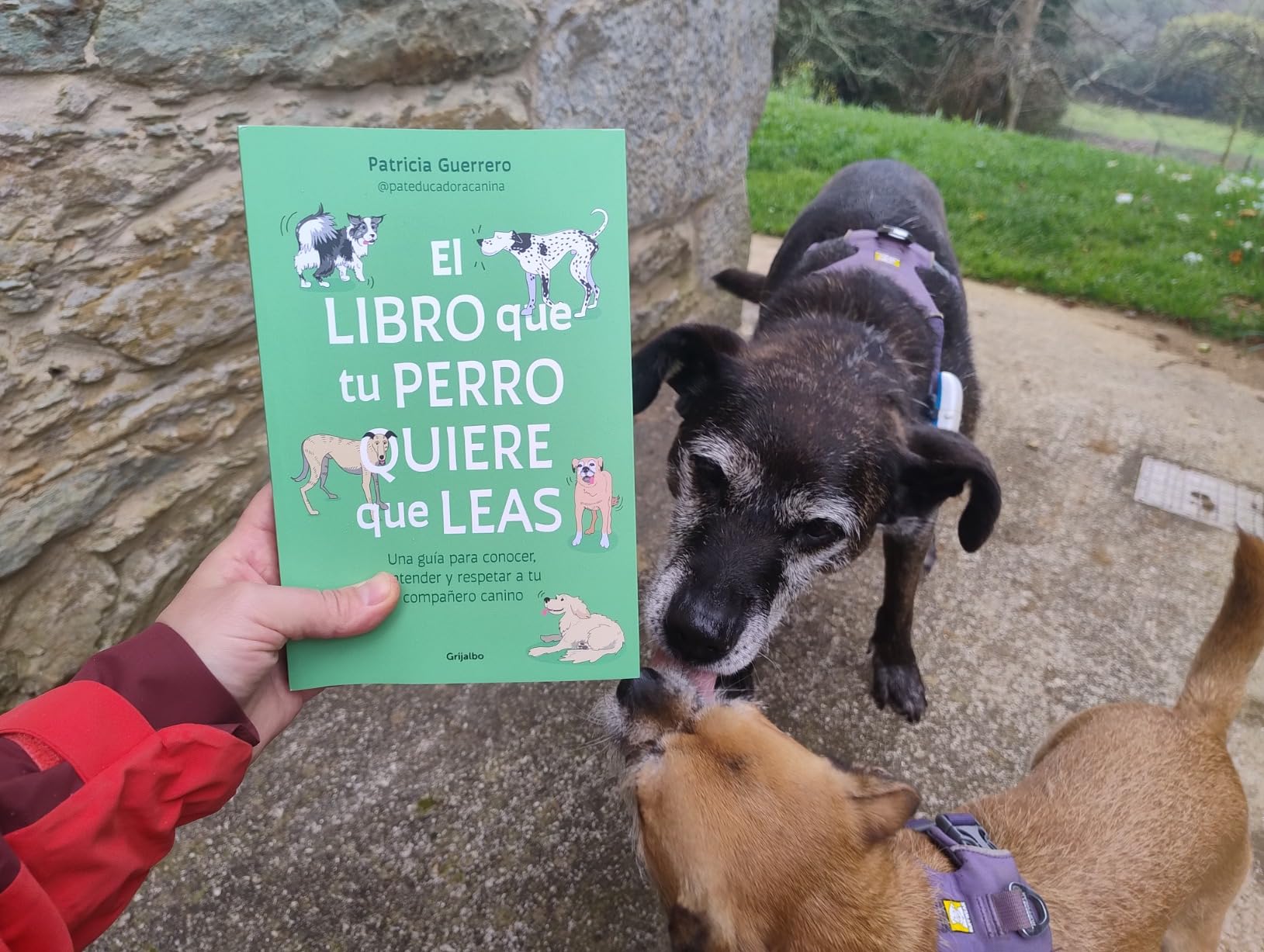 El libro que tu perro quiere que leas: Una guía para conocer, entender ...