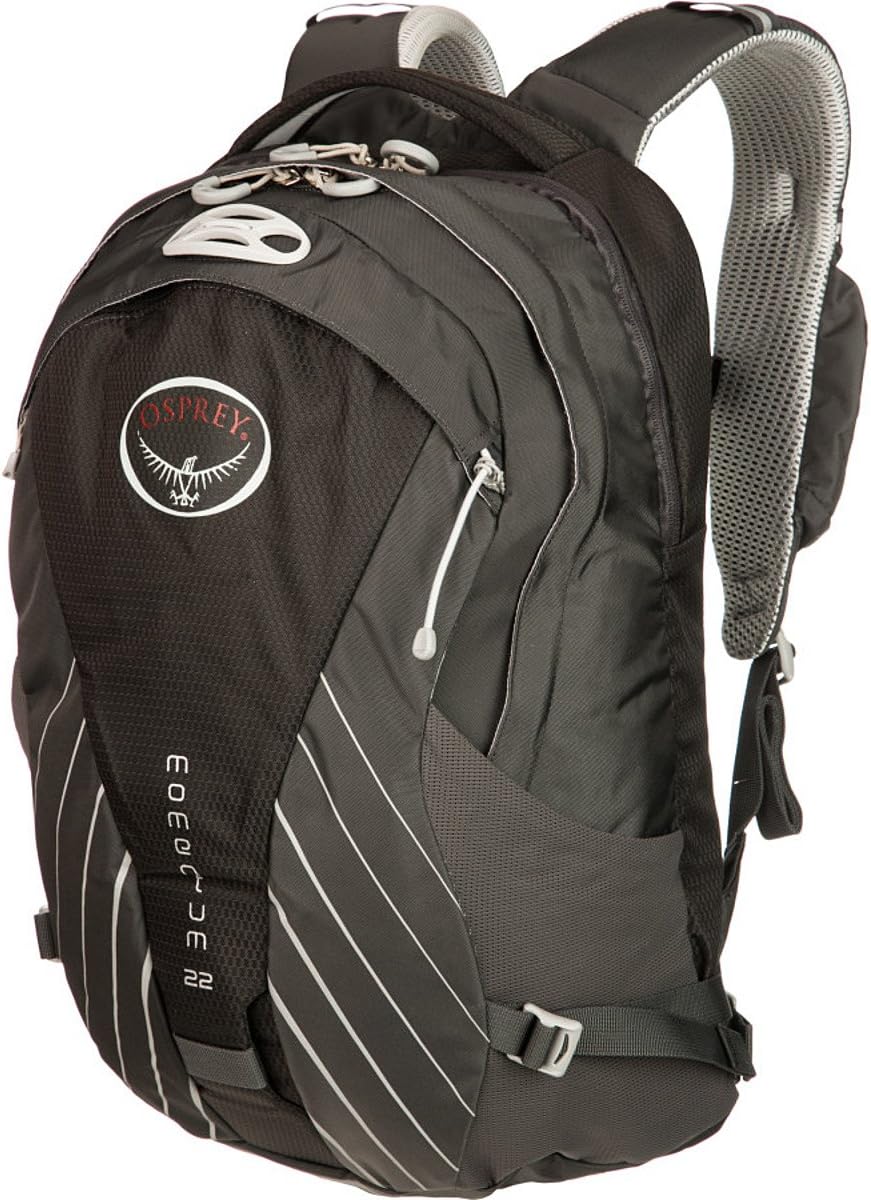 Amazon.com : Osprey Packs Momentum 22 Daypack (Spring 2016 Model ...