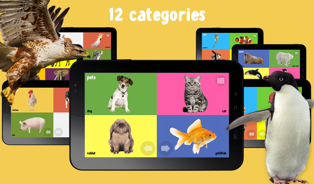 Baby 100 Animals Words for Babies & Toddlers - App on the Amazon Appstore