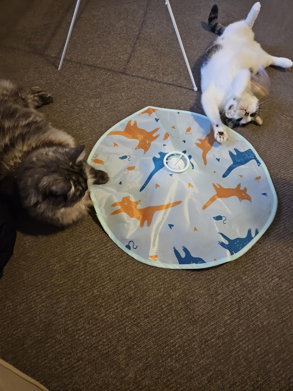 Valonii 2-in-1 Rechargeable Motion Activated Interactive Cat Toys for ...