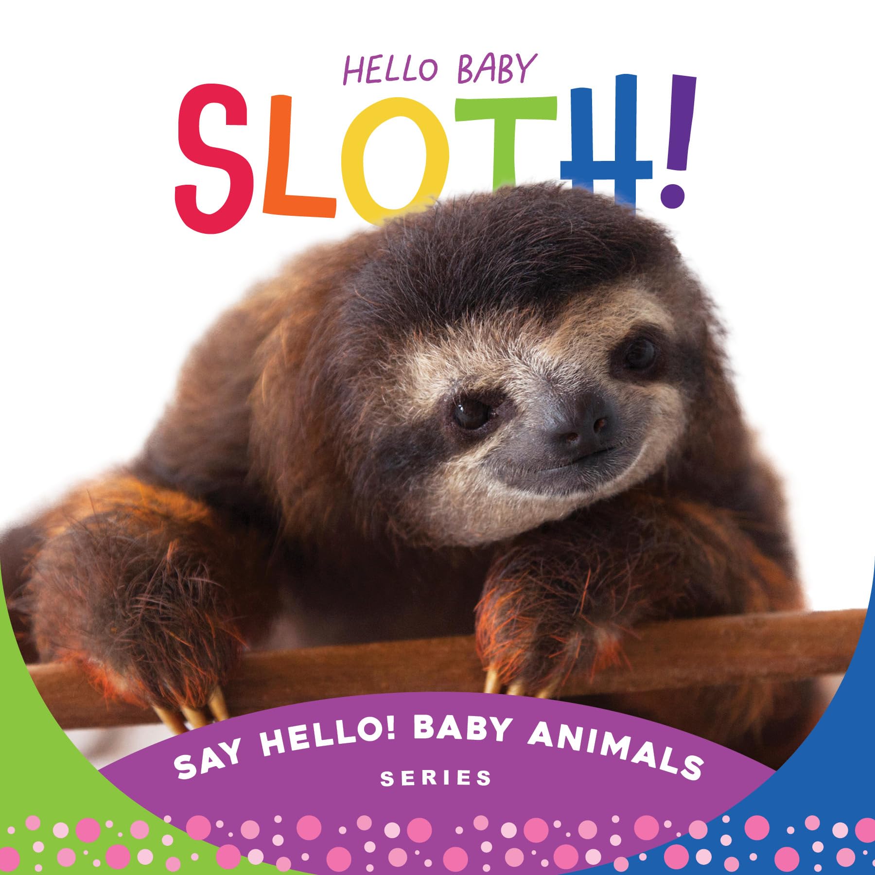 Hello Baby Sloth! (Say Hello! Baby Animals): Rose, Beverly ...