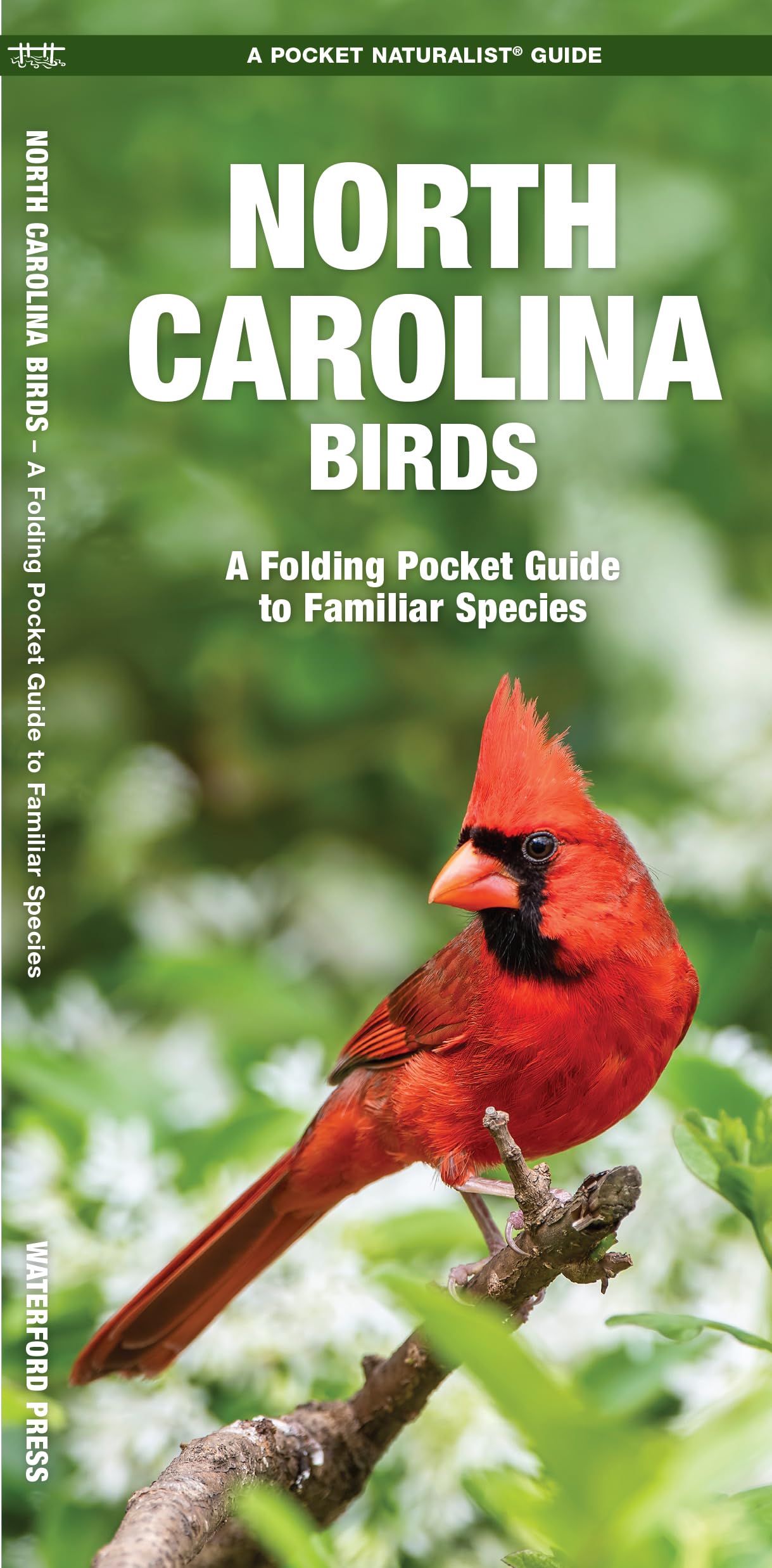 Snapklik.com : North Carolina Birds: A Folding Pocket Guide To Familiar ...