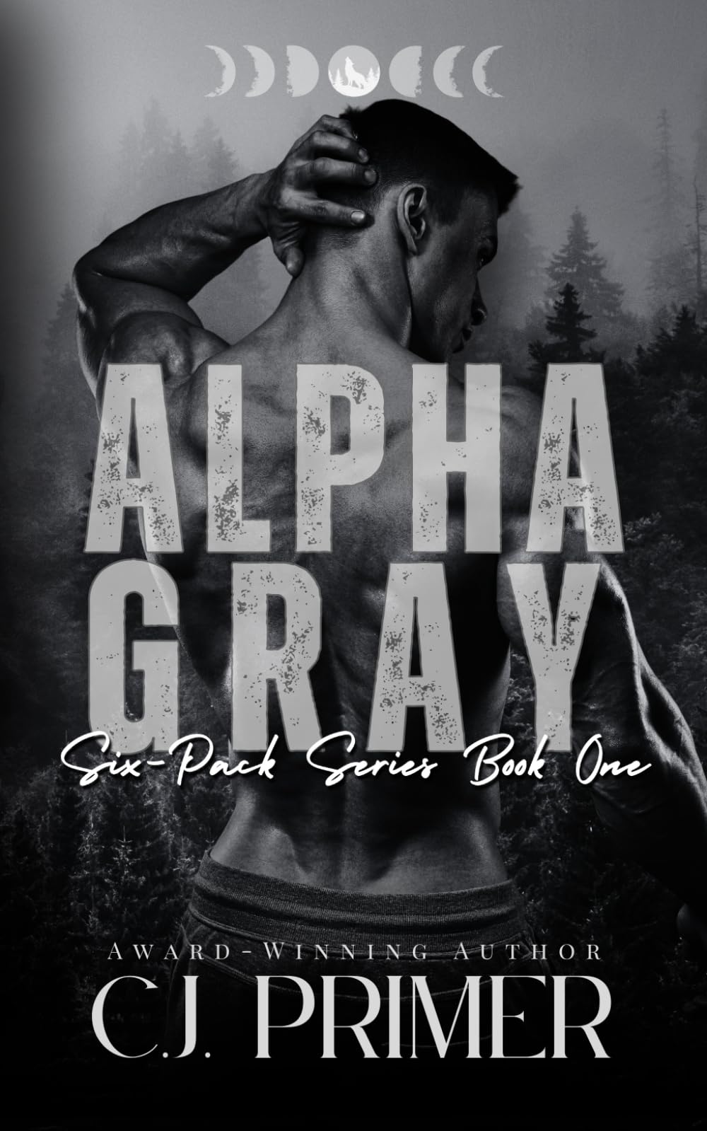 Amazon.com: Alpha Gray: six-pack series book one: 9798461066000: Primer ...