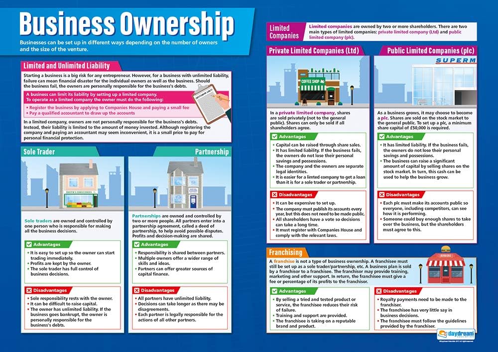 Amazon.com: Daydream Education Business Ownership Poster - EXTRA LARGE ...