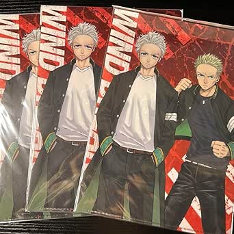 Amazon.co.jp: wind breaker clear file set of 3 : Toys & Games
