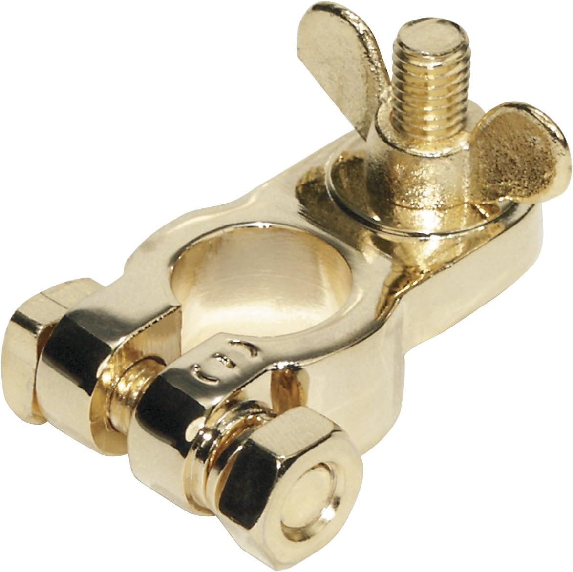 Amazon.com: Raptor R4BTRTNG 5/16-Inch Wing Nut Battery Terminal ...