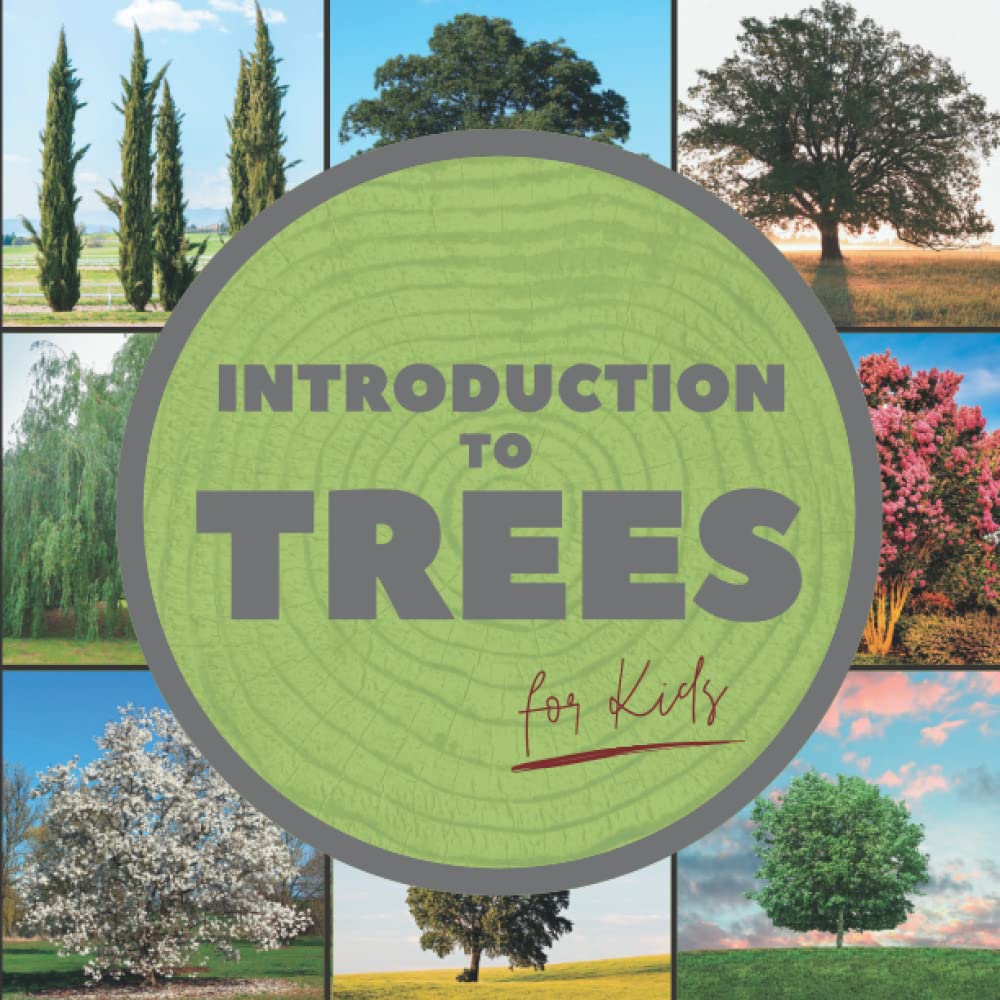 Introduction to Trees: Tree Identification Book For Kids: Wild, Hello ...