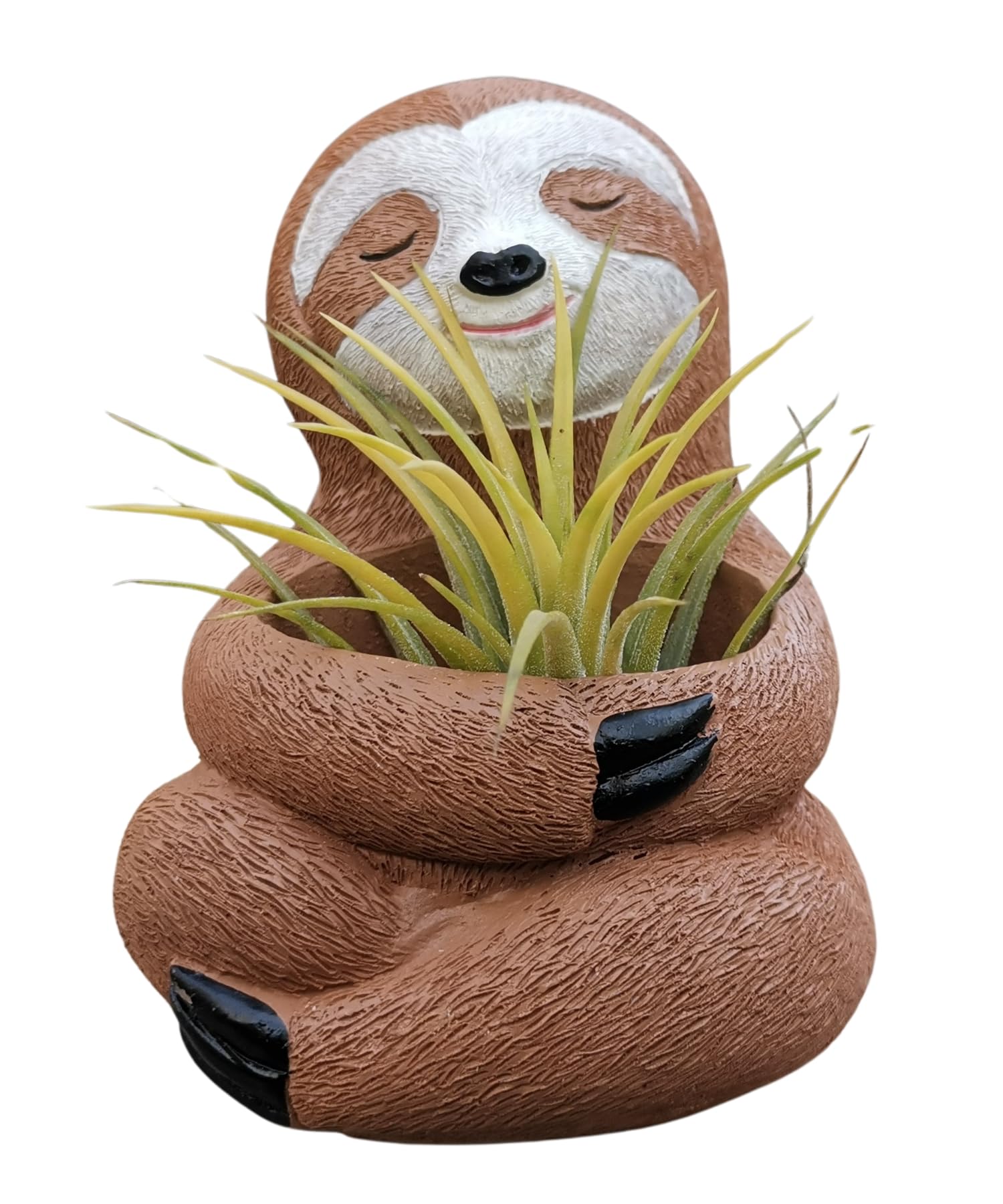 Amazon.com : AIPOGOOIN Air Plants Holders Unique, Sloth Gifts for Women ...
