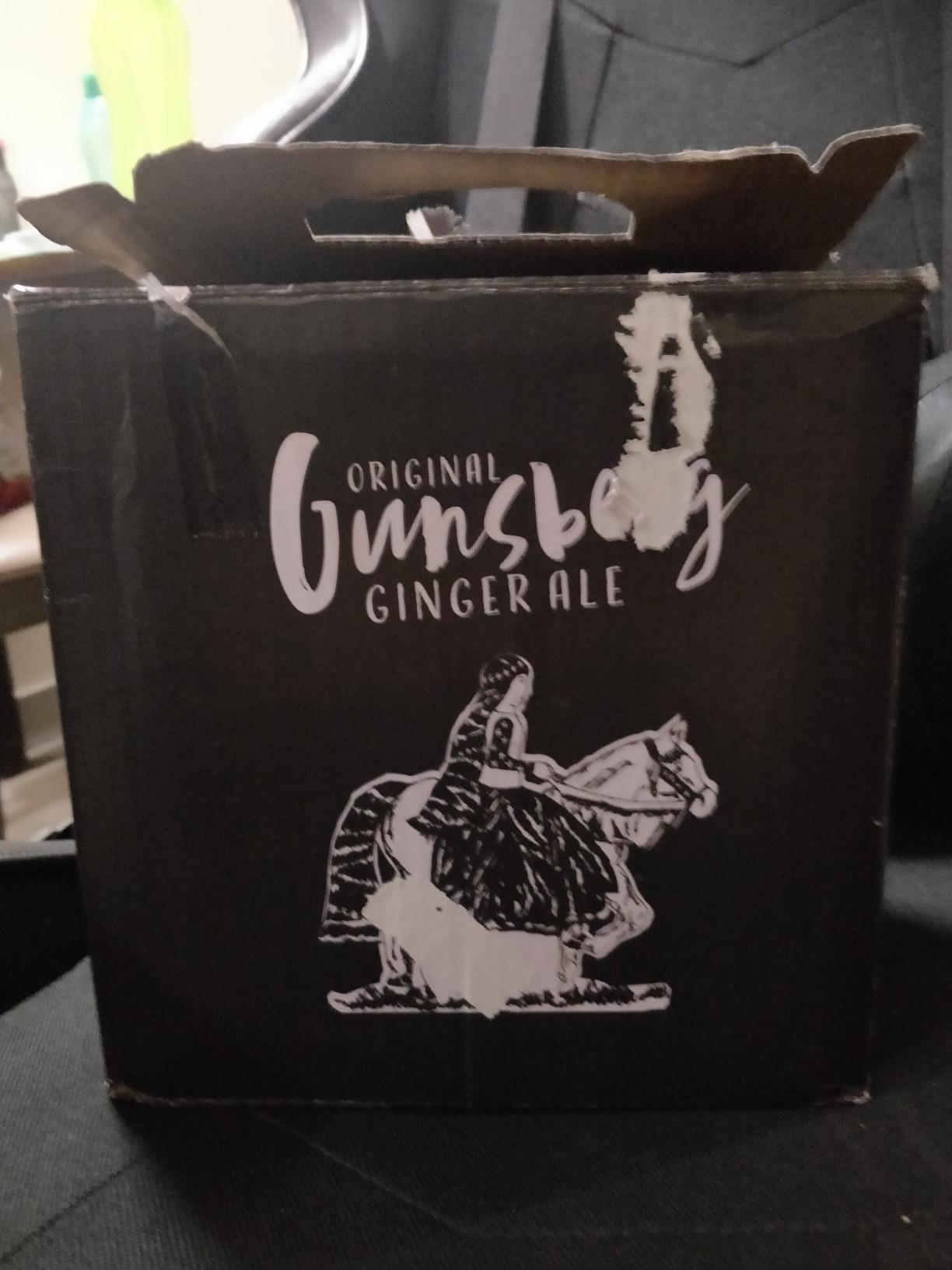 Gunsberg Ginger Ale (Pack of 6) -330ml Each : Amazon.in: Grocery ...