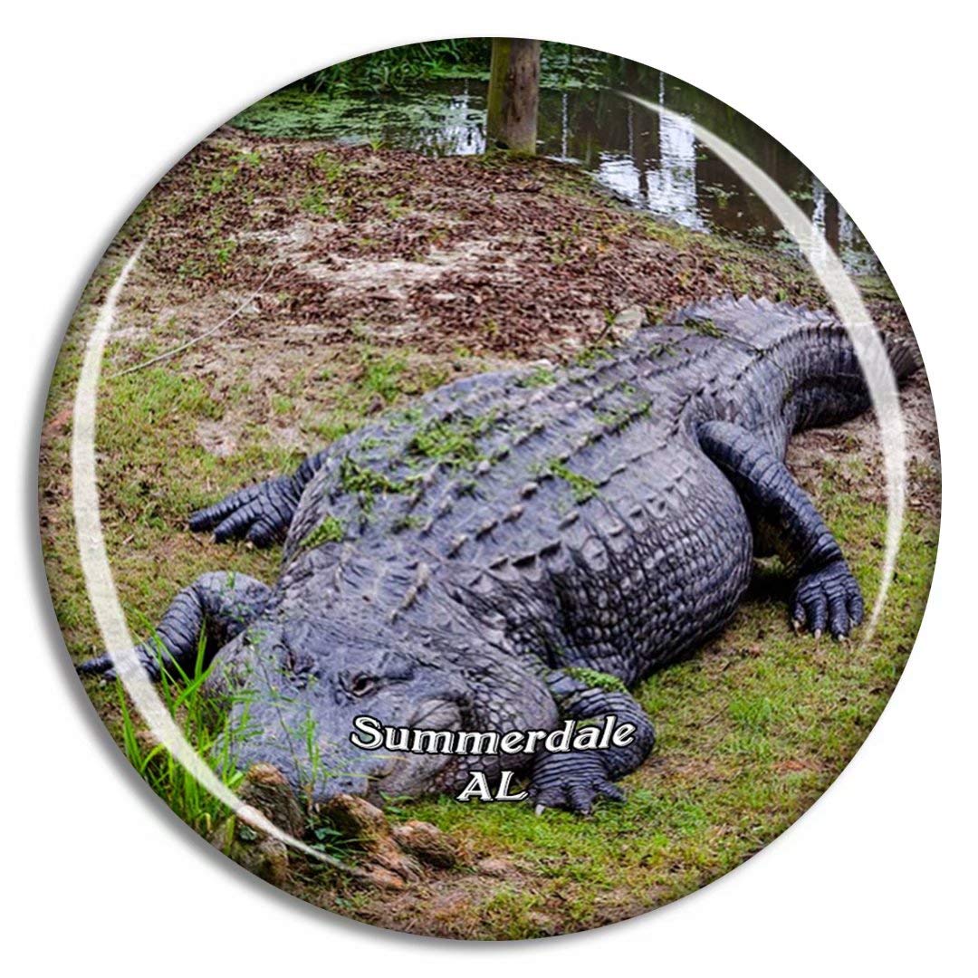 Alligator Alley 2022