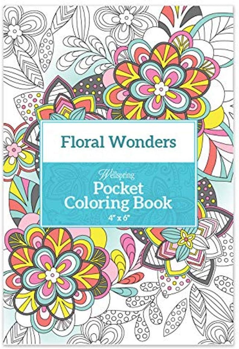 Amazon.com : Wellspring Drawing Pad and Book (6382) 6 x 4 : Arts ...