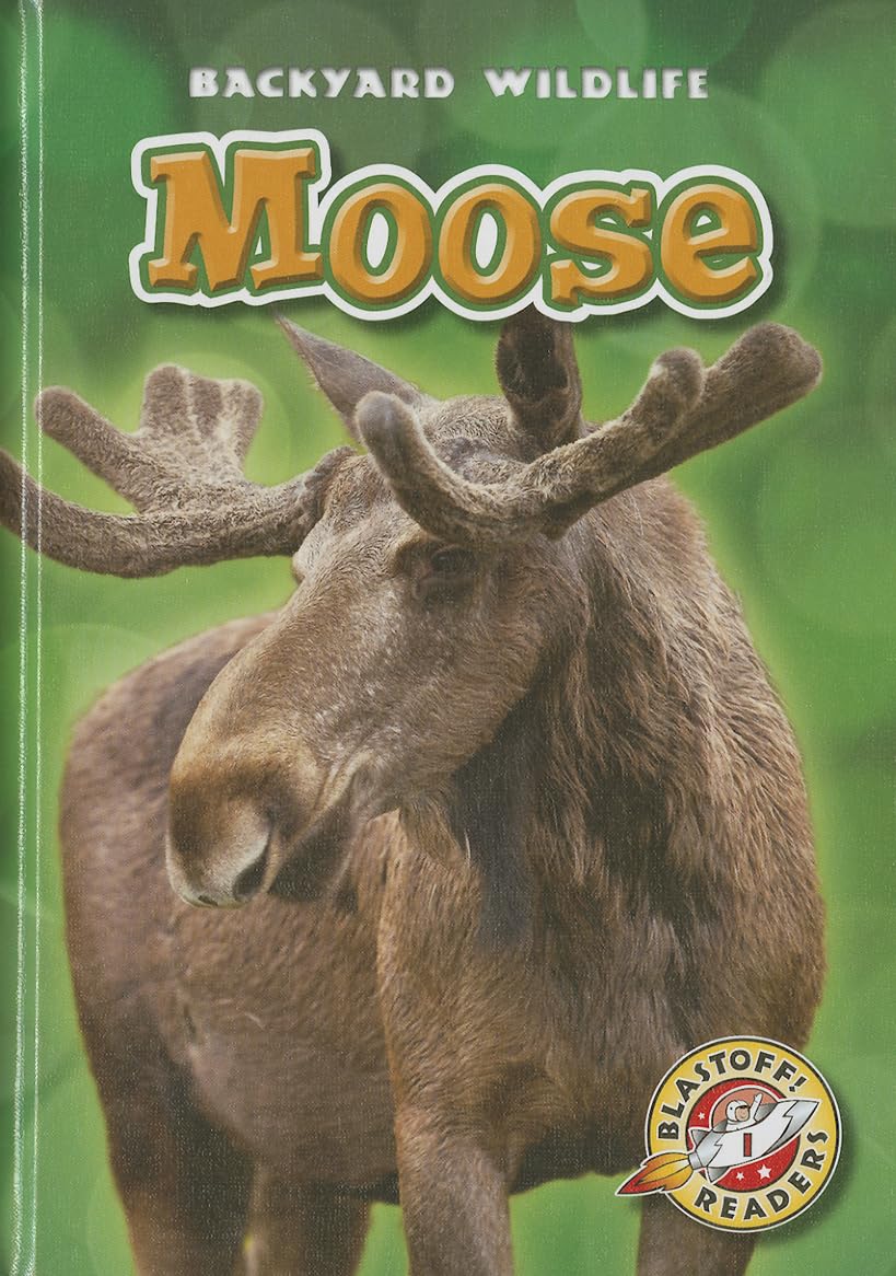 Moose (Blastoff Readers. Level 1) (Backyard Wildlife): Schuetz, Kristin ...