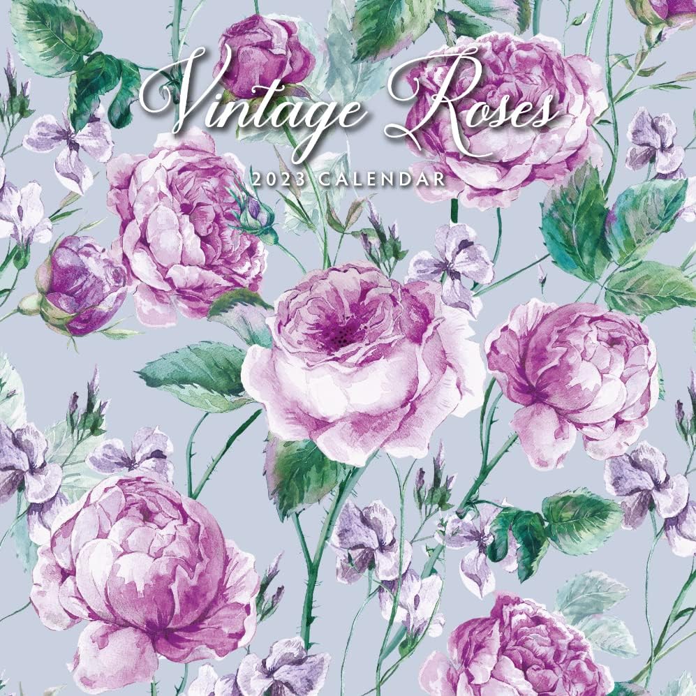 Amazon.com: 2023 Vintage Roses Monthly Wall Calendar by Red Robin ...