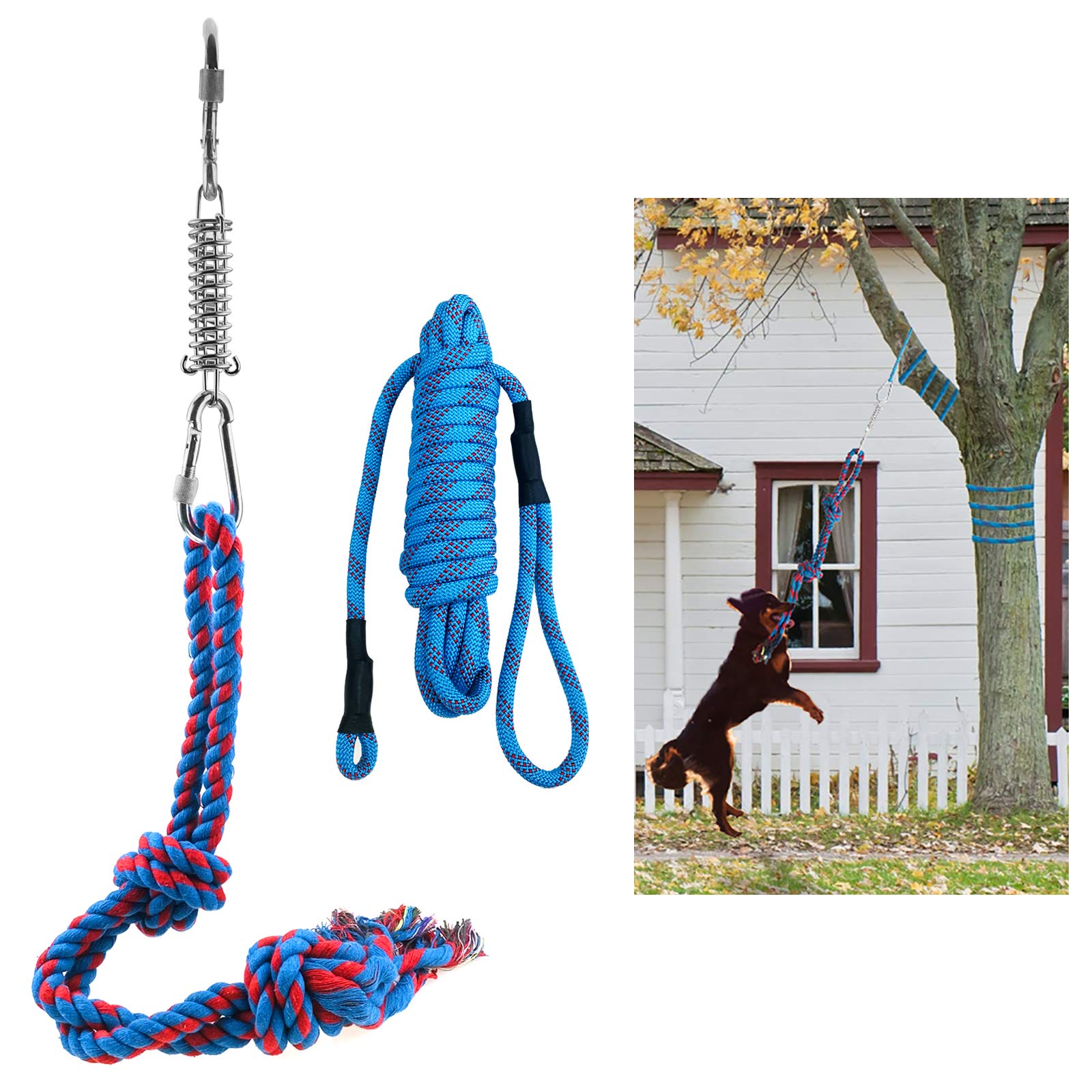 Buy Outdoor Hanging Bungee Dog Toy - Interactive Dog Tug Toy with Dog ...
