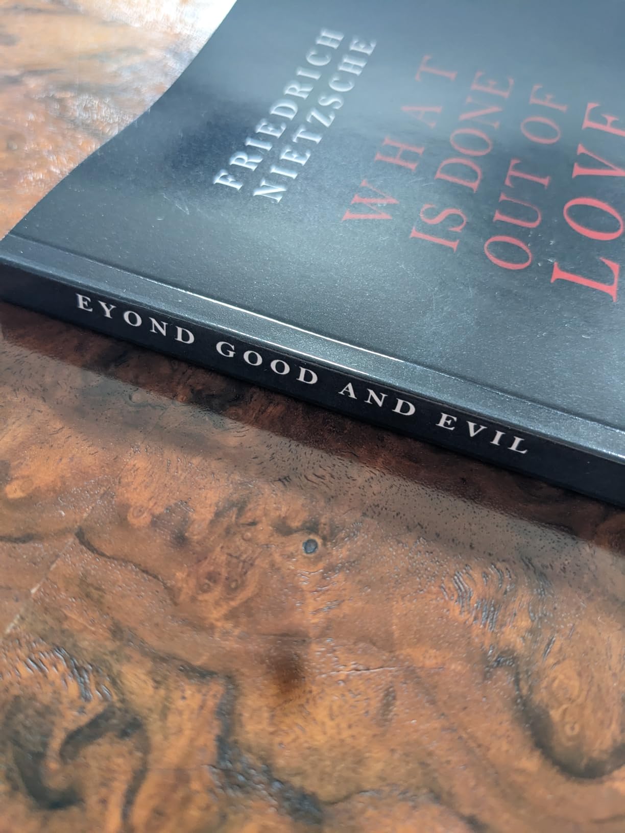 Beyond Good and Evil (Penguin Pocket Hardbacks): Amazon.co.uk ...