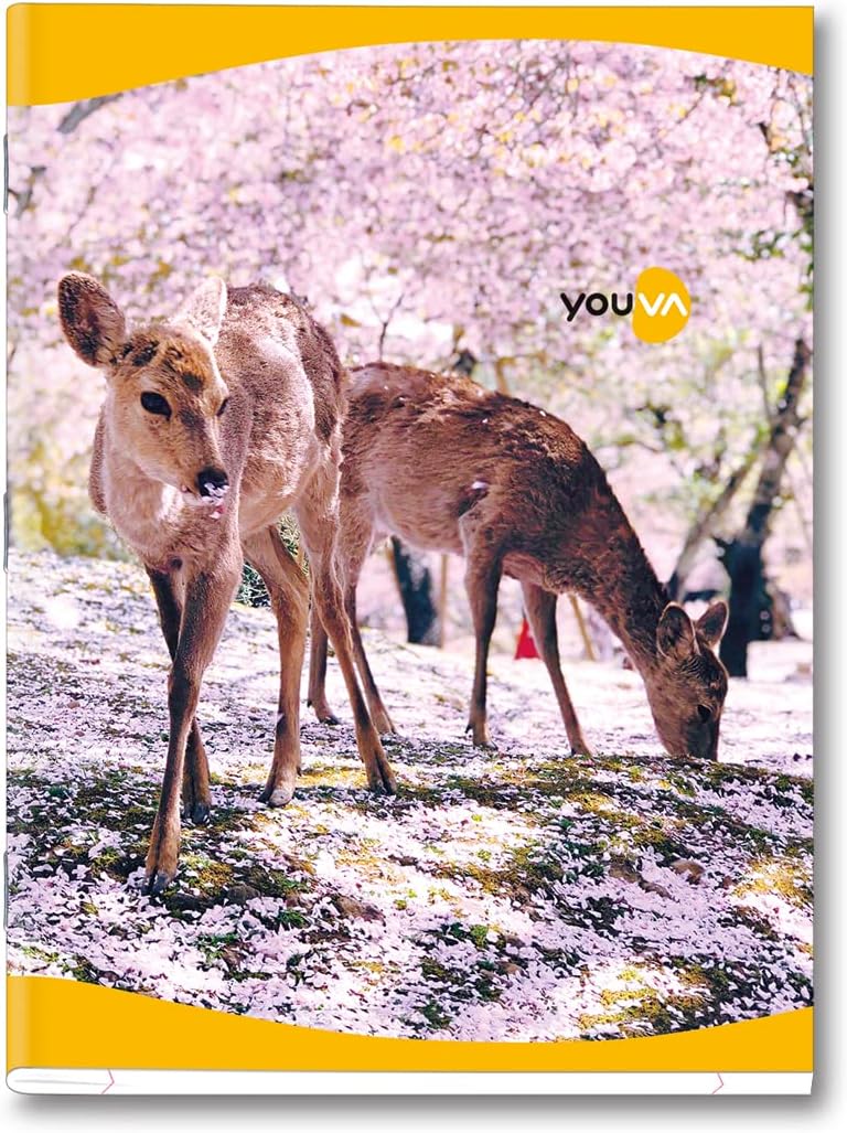 Navneet Youva YOUVA Soft Bound Note Book For Younger Students | Jumbo ...