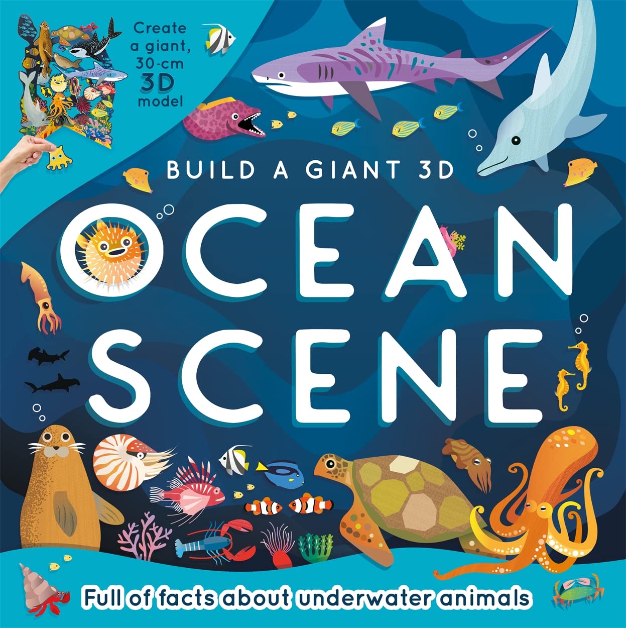 Build a Giant 3D: Ocean Scene: Igloo Books: 9781839031267: Amazon.com ...
