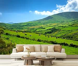 Amazon.com: Wall Mural Hills Green Fields Countryside Ireland Dingle ...