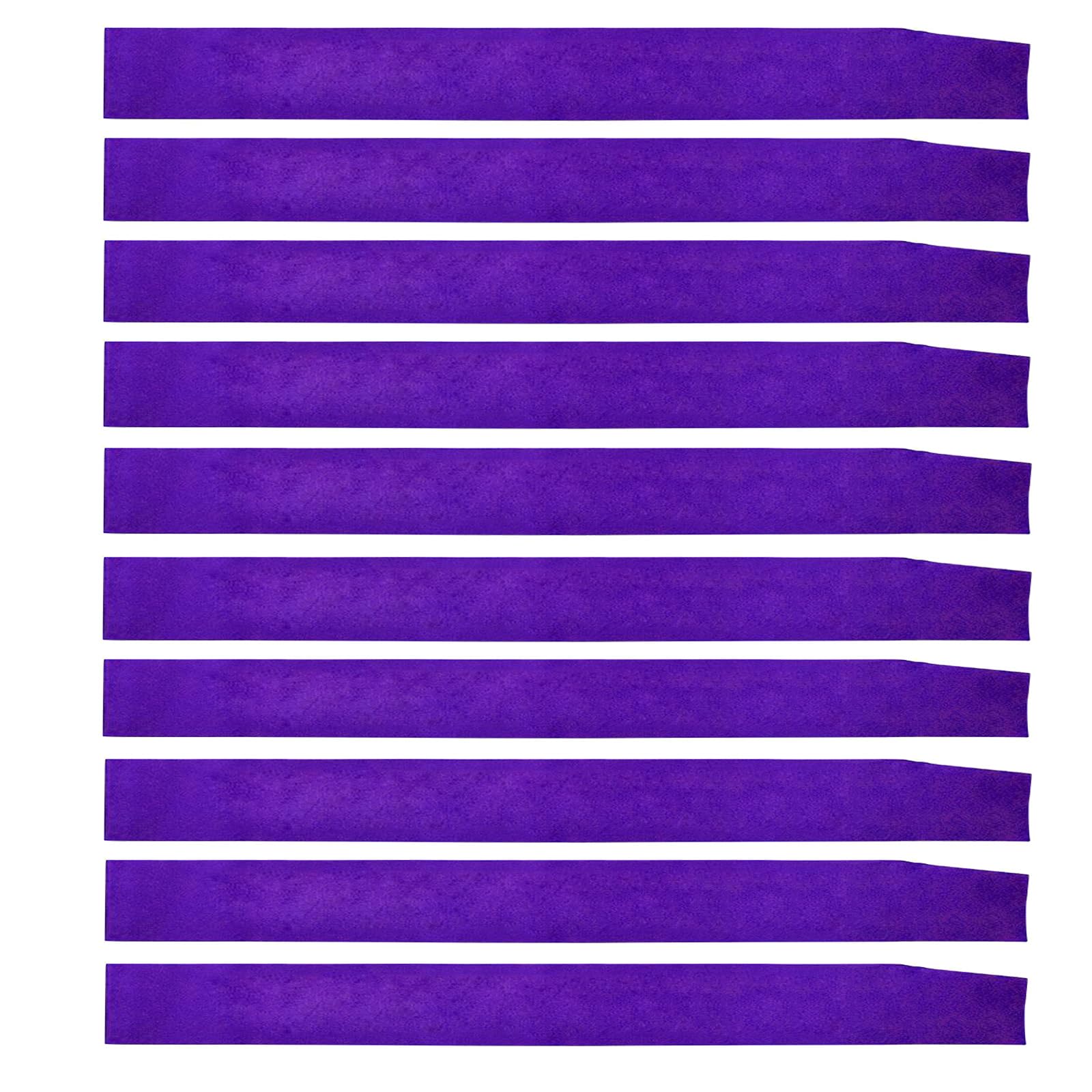 Amazon.com: 10 Pcs Satin Sash Blank Pageants Sash Graduation Senior ...