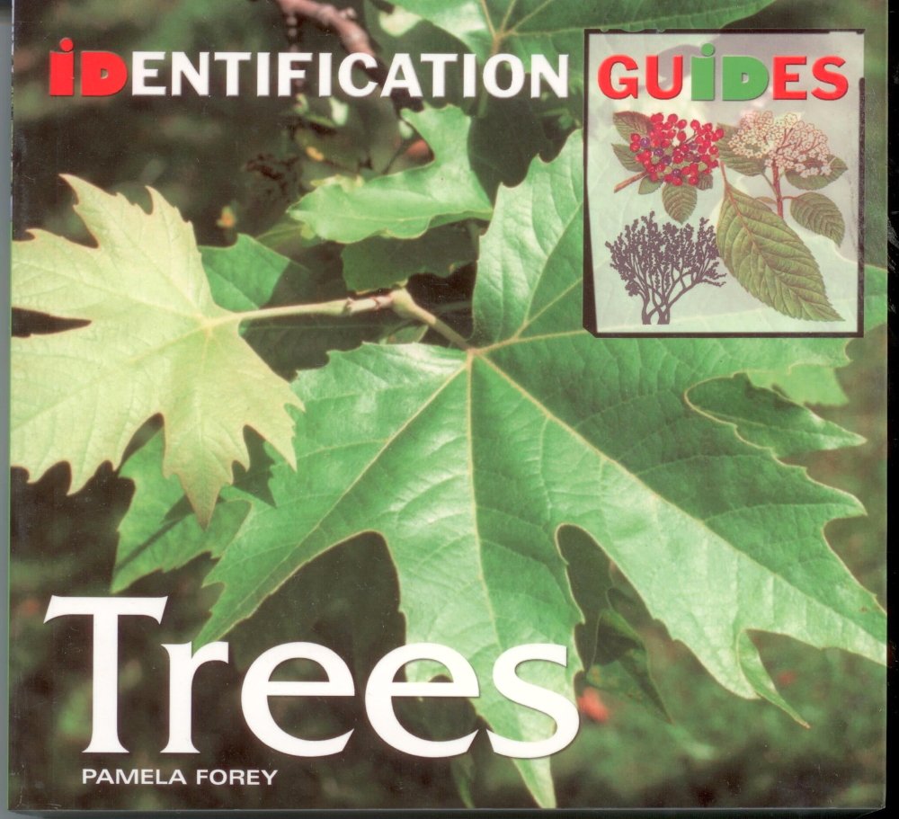 Trees: Identification Guide: Forey, Pamela: 9781844518555: Books ...