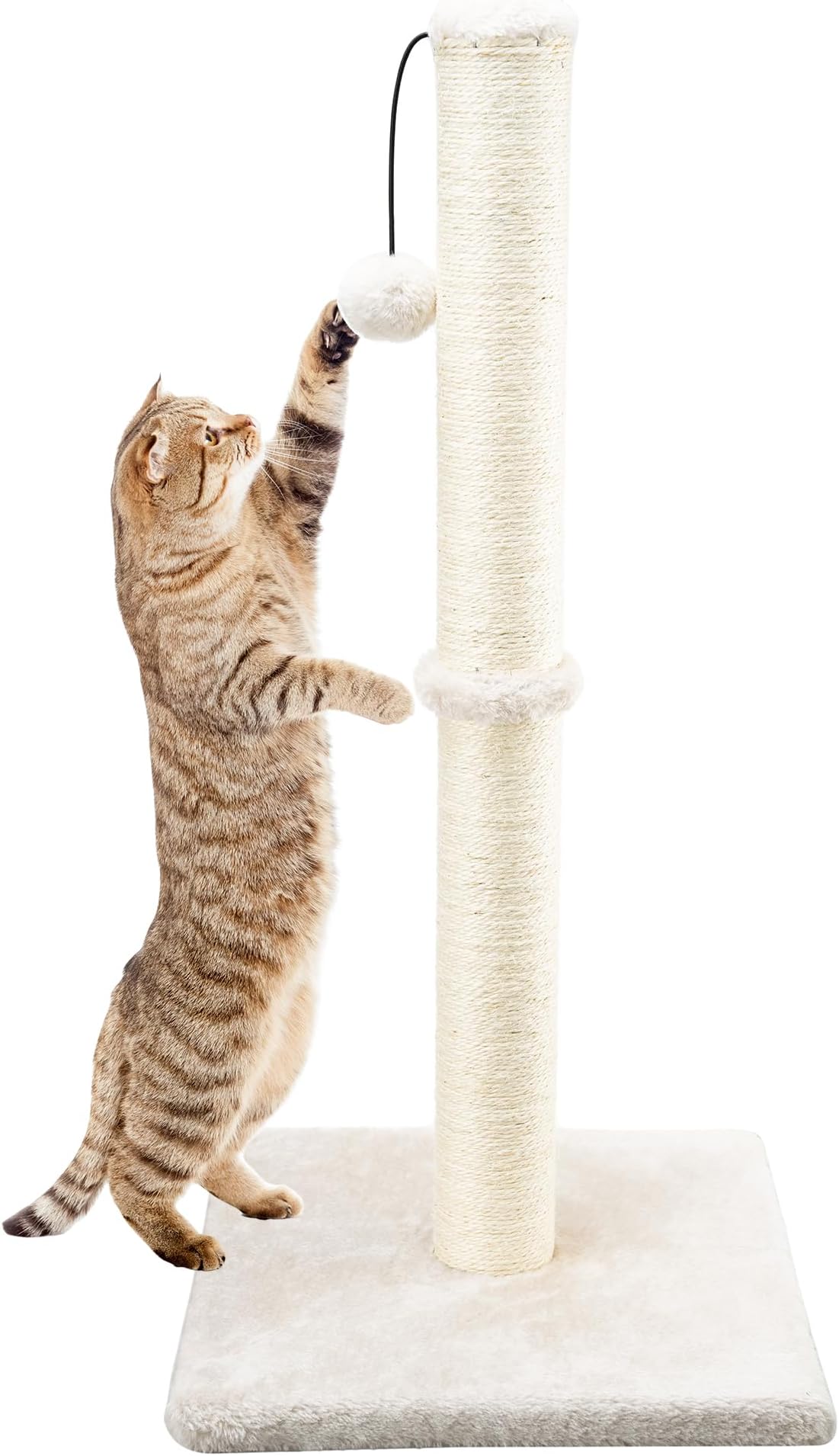 Amazon.com : Dimaka 29" Height Tall Cat Scratching Post, Claw Scratcher ...