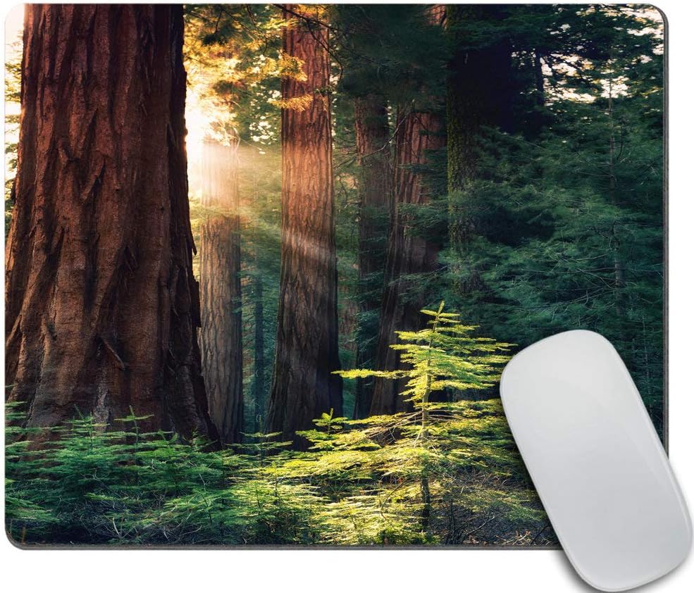 Amazon.com : Amcove Yosemite National Park Mouse pad, Early Morning ...