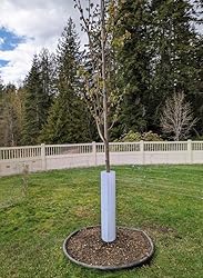 Amazon.com : 10pcs Tree Guard Protectors,Expandable Tree Trunk ...