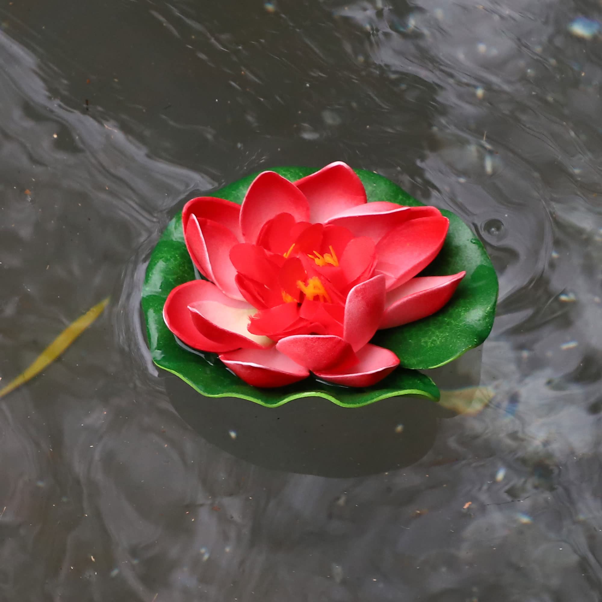 Red Lotus Flower In Pond