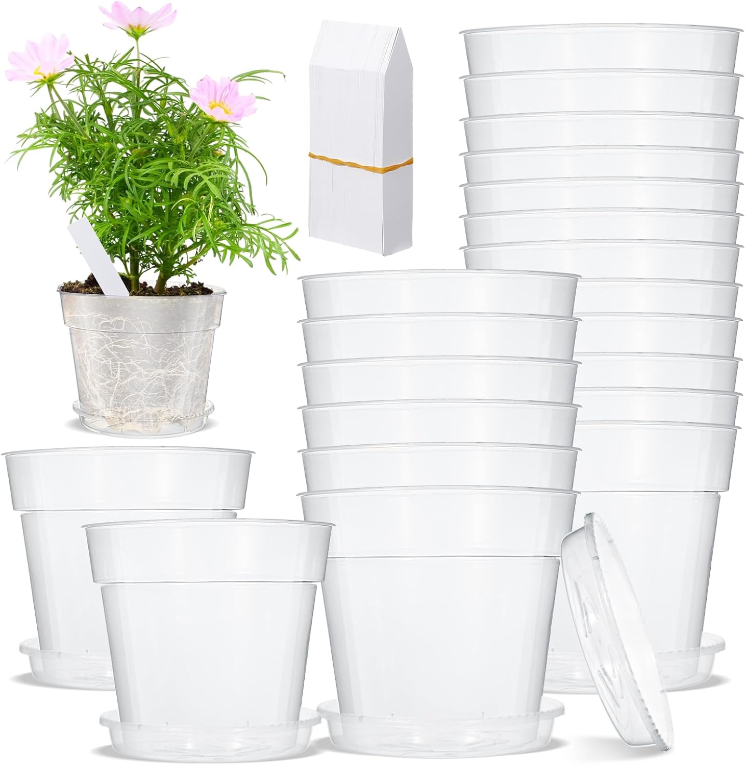 Amazon.com: Hushee 10 Pcs 9 Inch Clear Nursery Pots Include 10 Saucer ...