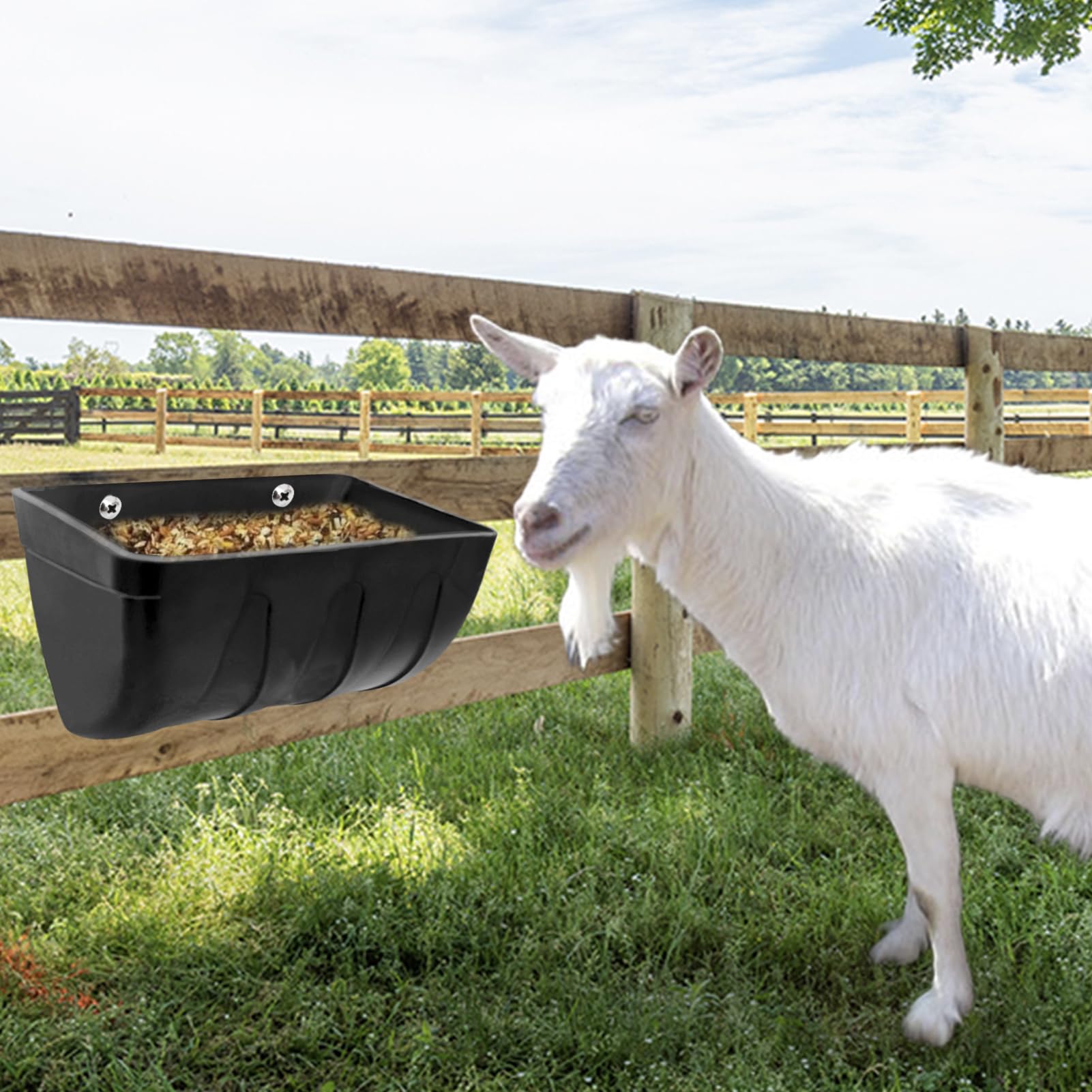 Snapklik.com : Hanging Chicken Feeder Trough, 4 Pack Fence Feed Feeder ...