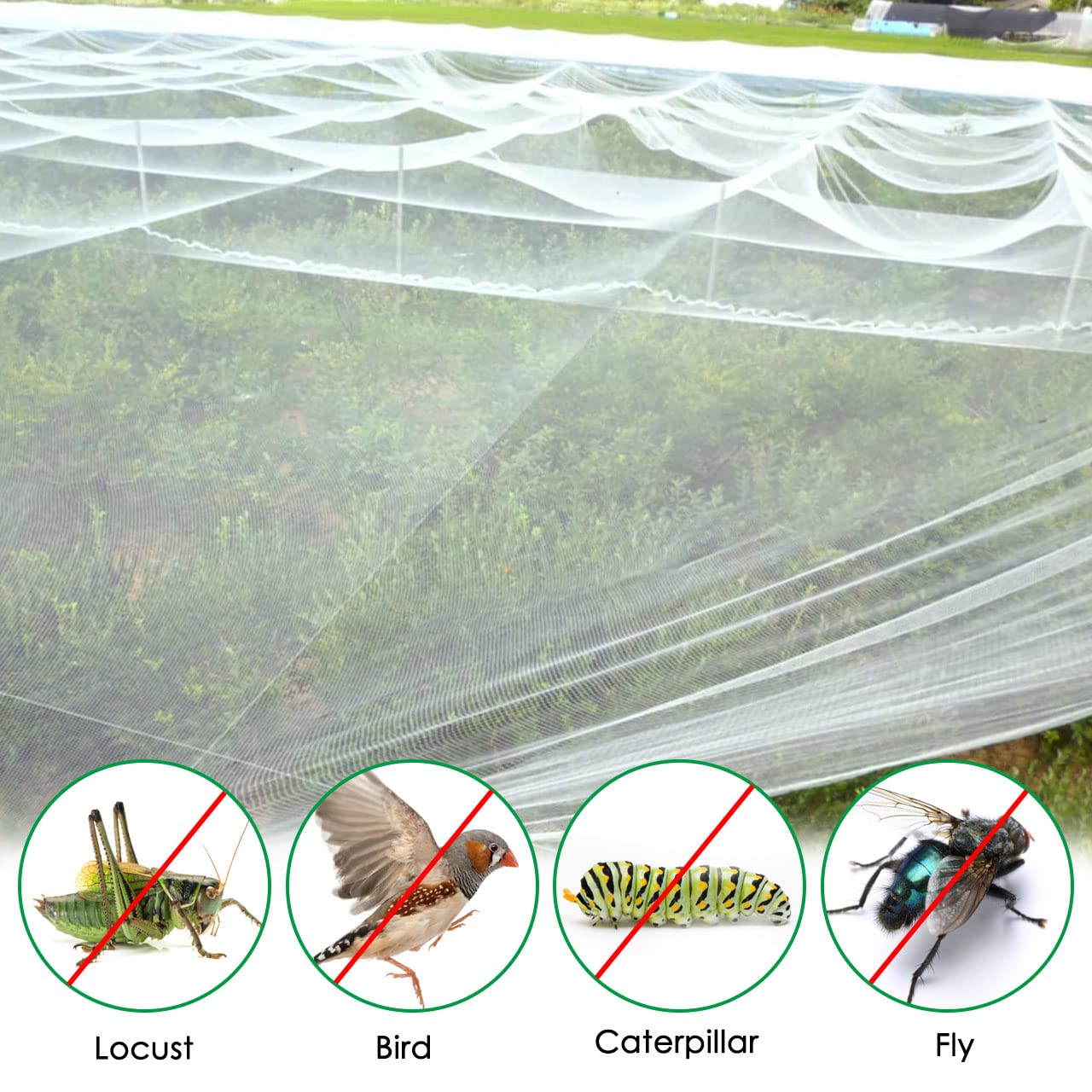 Red Antiinsectos Para Huertos Malla Anti Insectos, Red Anti Insectos