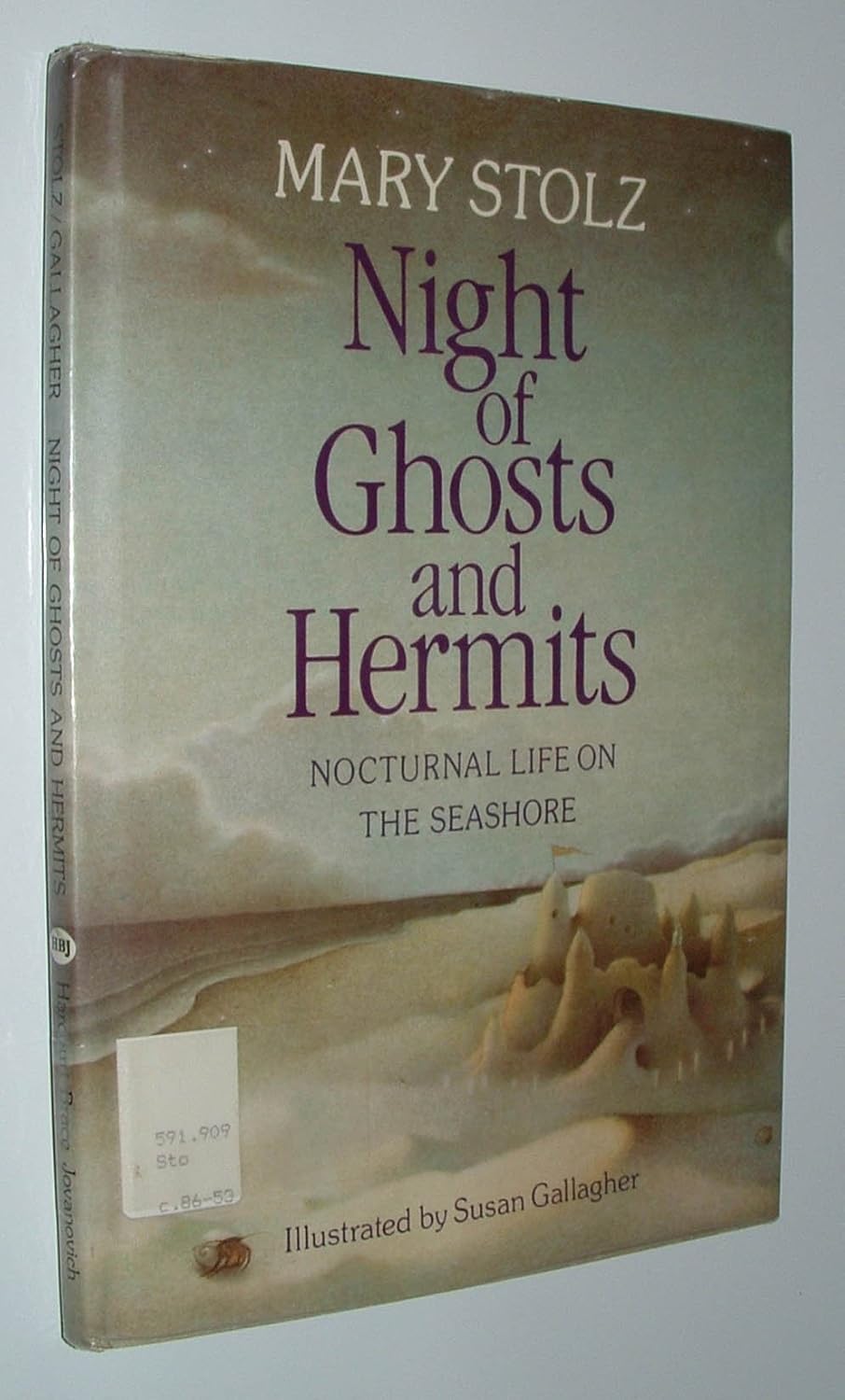 Night of Ghosts and Hermits: Nocturnal Life on the Seashore: Stolz ...