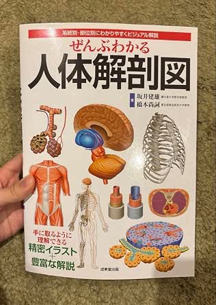 Amazon.co.jp: Full understanding of human body anatomy charts ...