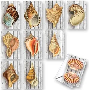 Amazon.com : Wright Home & Gift Conch Seashells All-Occasion Blank Note ...
