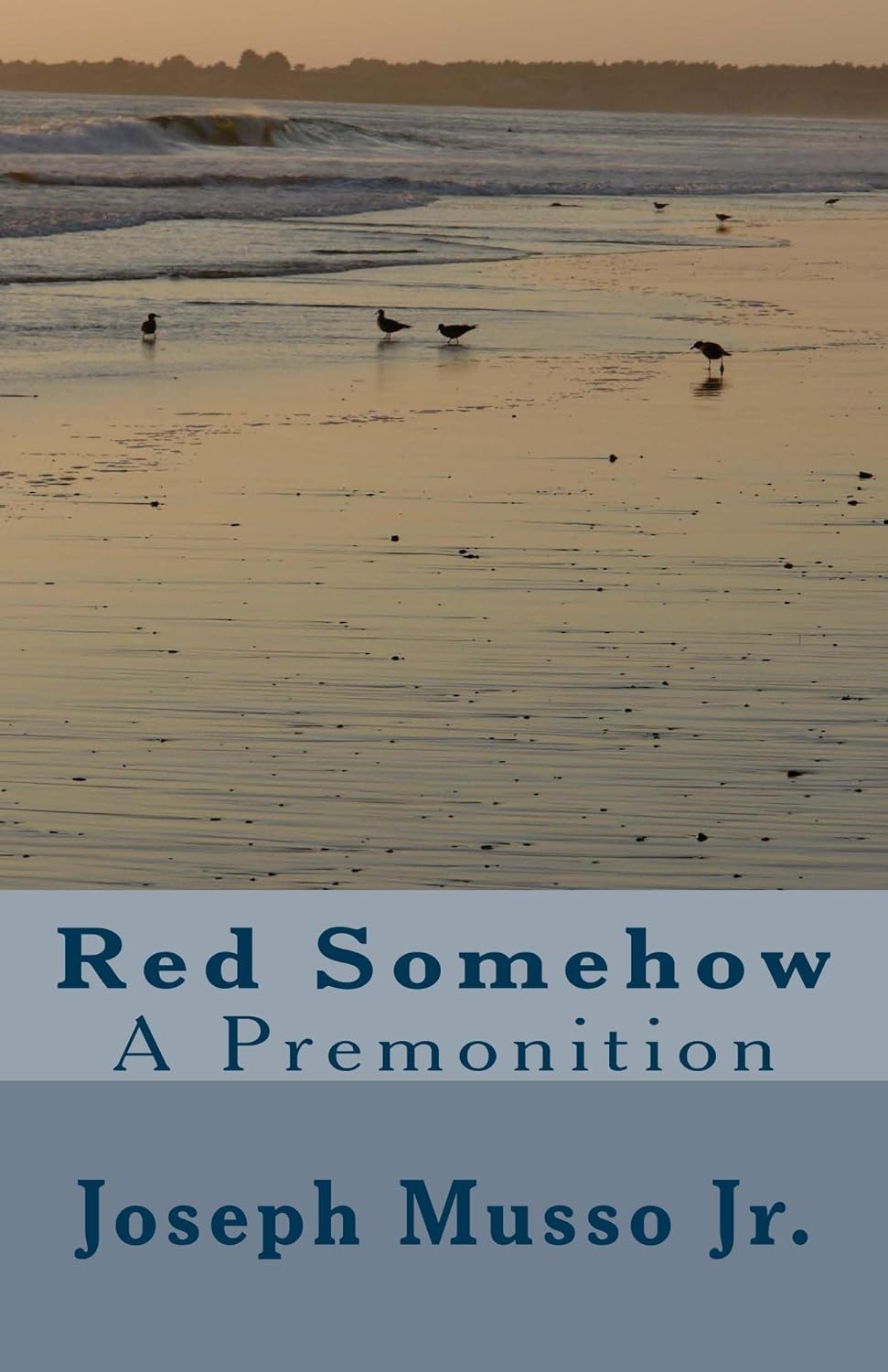Red Somehow - Kindle edition by Musso, Joseph. Literature & Fiction ...