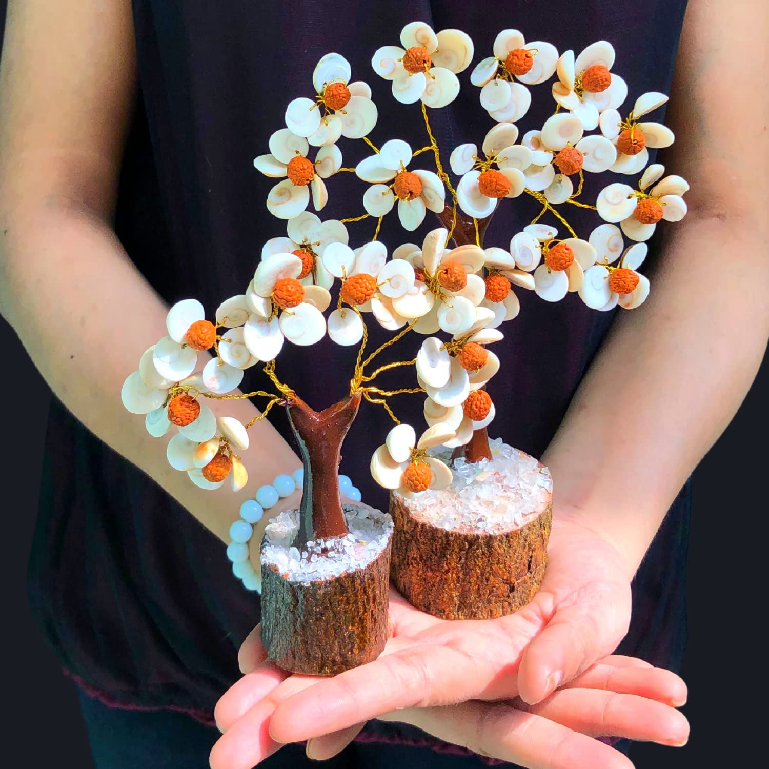 Buy DVISHA Combo of Laxmi Gomti Chakra Tree - Natural Original ...
