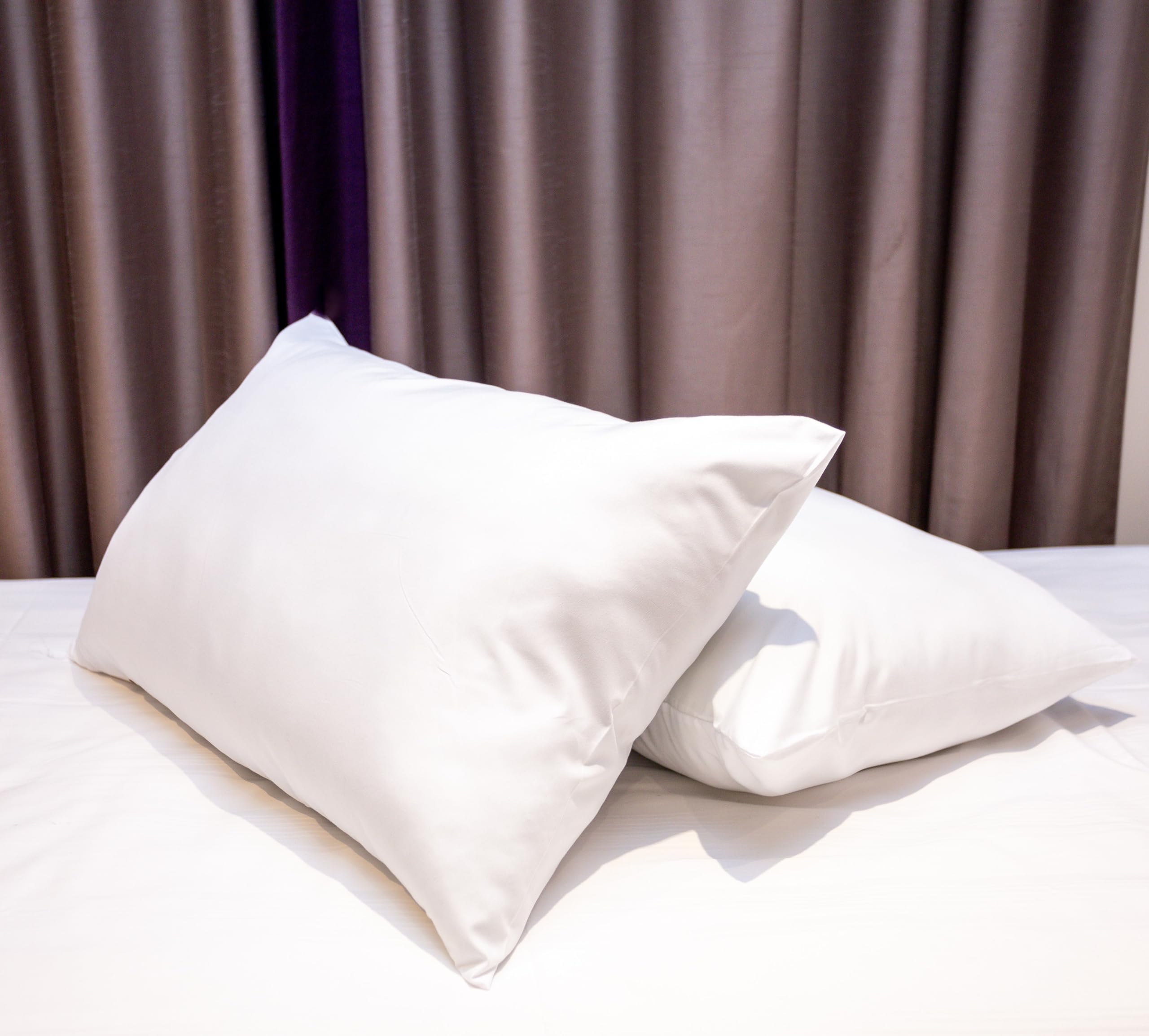 Ultimate Bounce Back/Super Bounce, Spring Back Pillows : 2 pillows, 2 ...