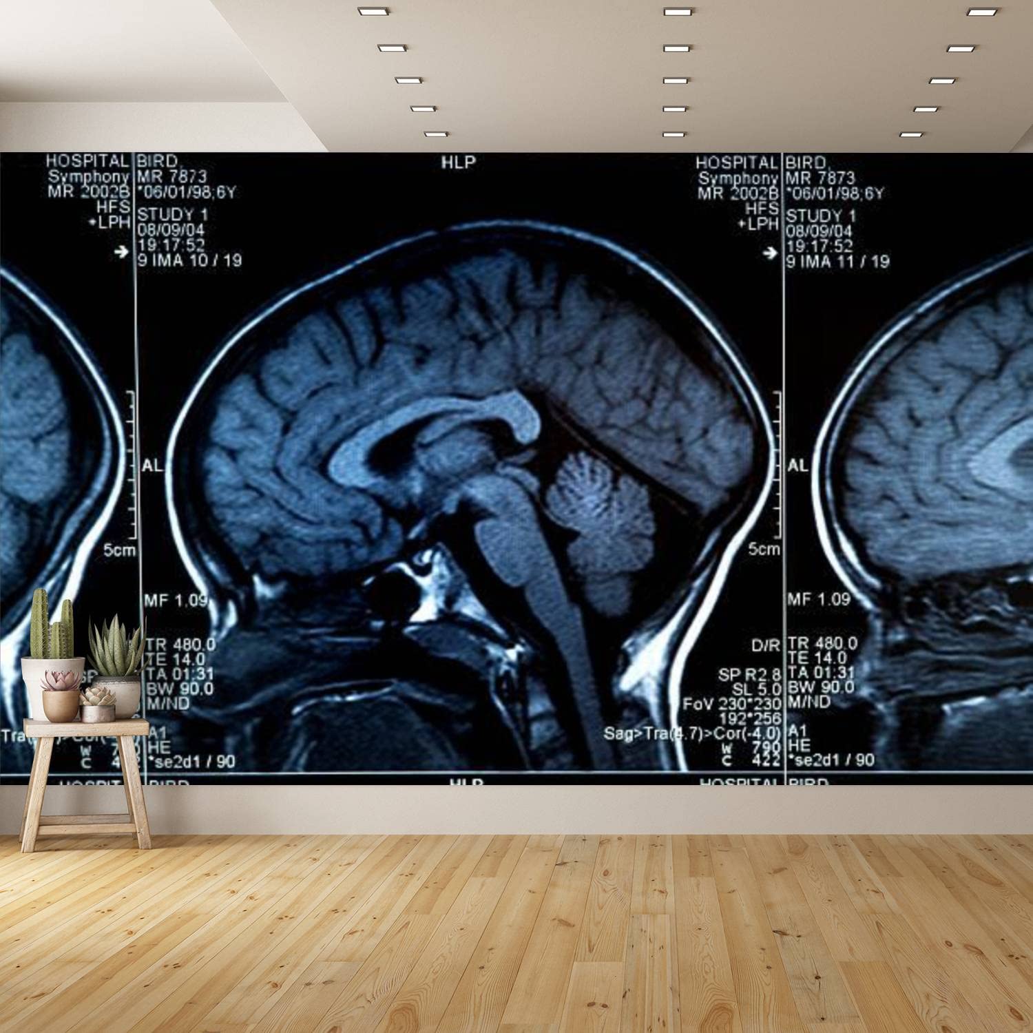 Human Brain Wallpaper
