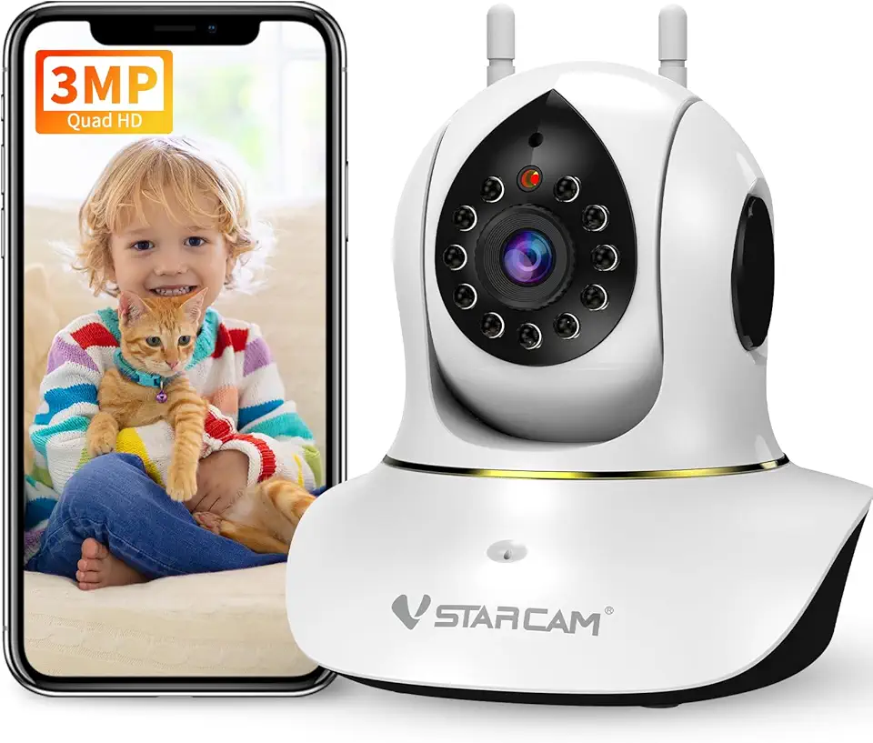 Cats' Ability To See Infrared Light: Fact Or Fiction? | PetShun