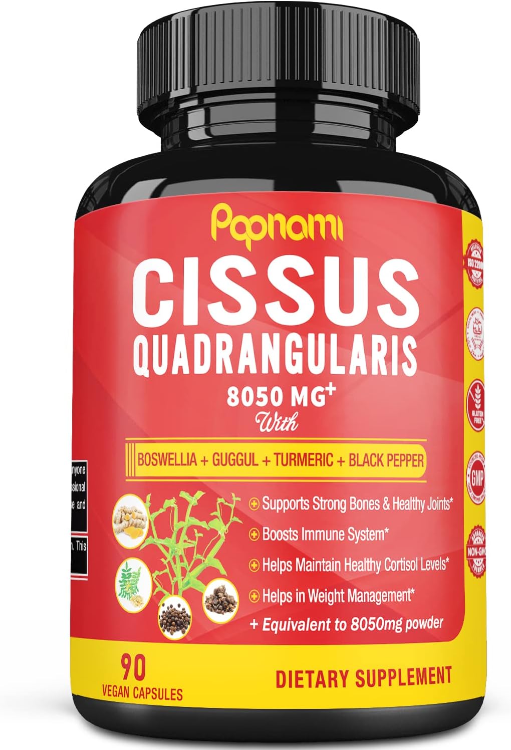 Amazon.com: Super Cissus Quadrangularis Extract Capsules Equivalent to ...