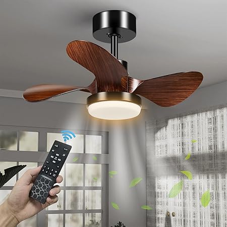 Amazon.com: 25'' Small Room Ceiling Fan with Light, 3-Blade Modern Low ...