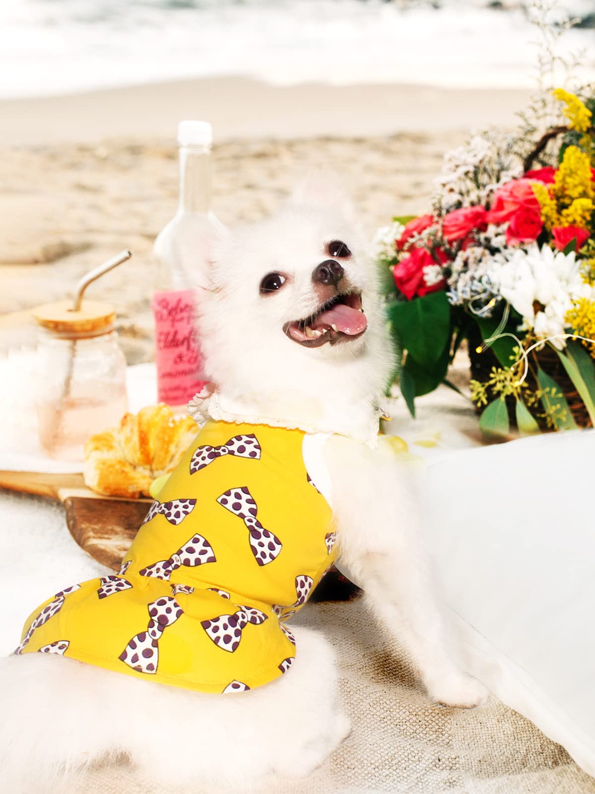 Snapklik.com : Topkins Dog Dress, Cute Dog Birthday Dress, Dogs Holiday ...