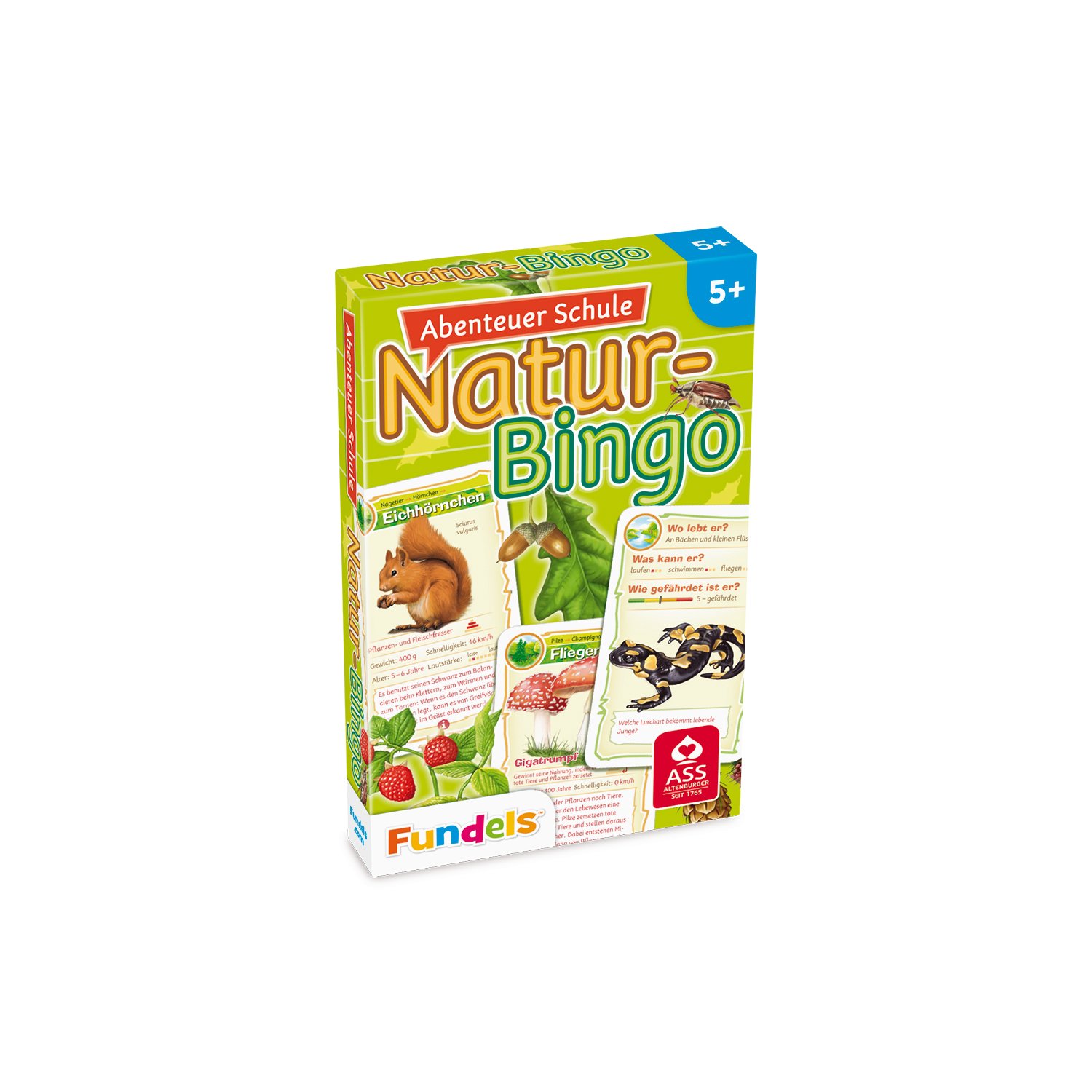 ASS Altenburger 22572843 Abenteuer Schule Natur-Bingo: Amazon.de: Spielzeug