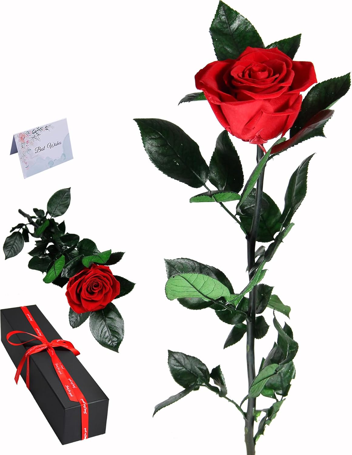 Preserved Rose Gifts for Women，Real Rose Forever Rose Flower Gifts for ...