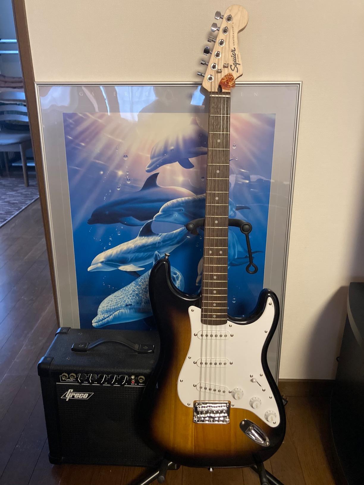 Amazon | Fender エレキギター Bullet Stratocaster® Hard Tail, Laurel ...