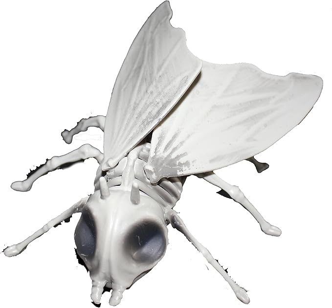 Amazon.com: 5" Skeleton Fly, Graveyard, Halloween Decoration, Moveable ...