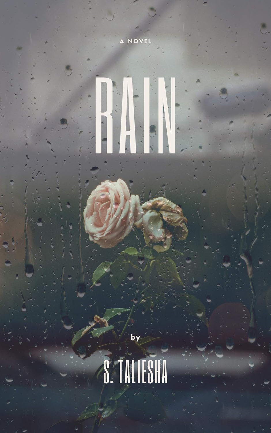 Rain: A Novel - Kindle edition by Taliesha, S.. Literature & Fiction ...