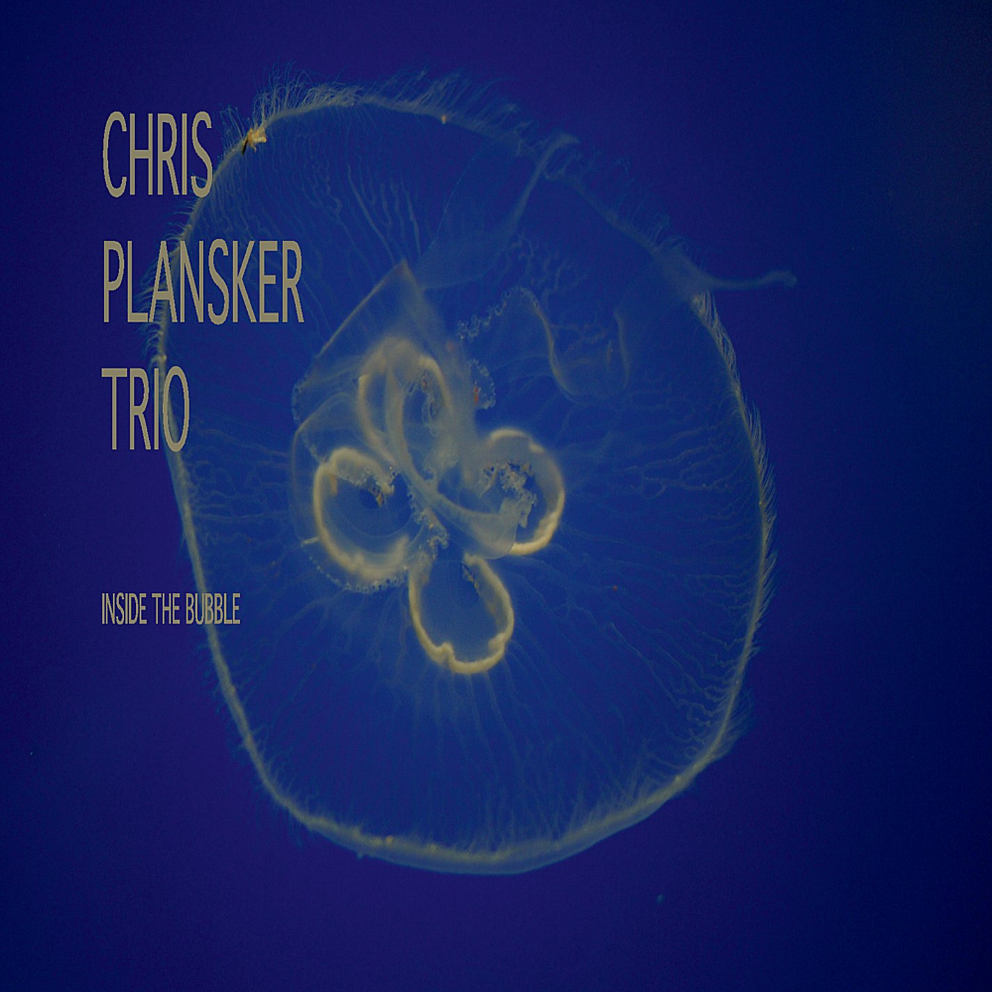 Chris Plansker Trio, Chris Plansker, Chris Plansker, Rob Avsharian ...