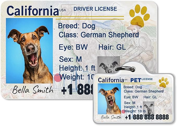 Amazon.com: Dog License Tag Custom Pet Driver License ID Tags Dog Name ...